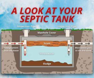 Simple Septic Tank Diagram to Understand Your System